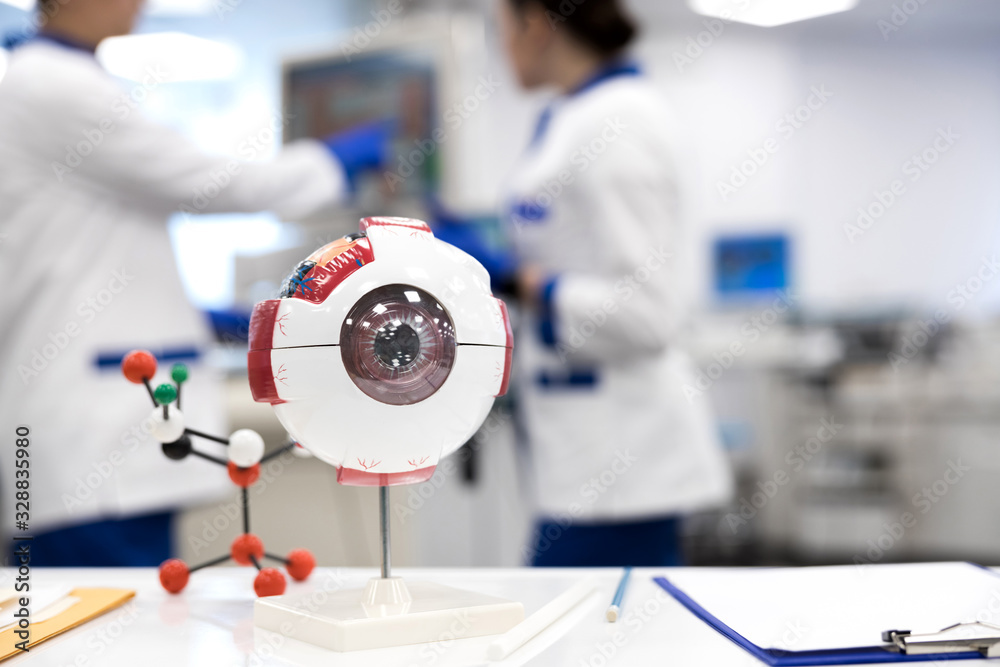 Enlarged human eye model with scientists on blurred background Stock ... Enlarged human eye model with scientists on blurred background Stock ...