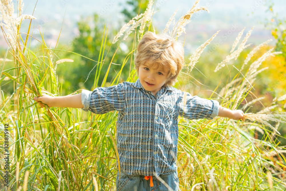 Nature and child. Boy on the field with tall grass. Freedom and free ...