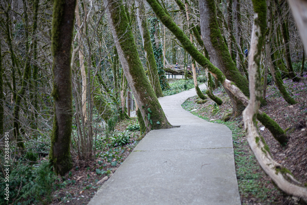 Trail for tourists in a nature reserve. Wildlife trail. Concrete path ...