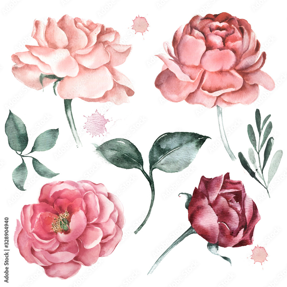 Watercolor clipart delicate flowers garden roses and leaves. Design ...