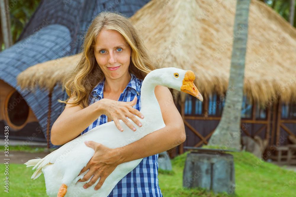 Young happy woman hold in hands funny farm pet - big white domestic ...