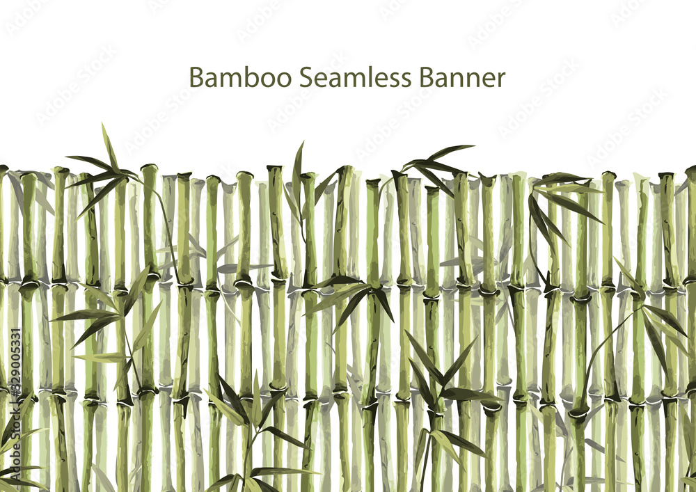 Bamboo Seamless Vertical border on white background Stock Vector ...