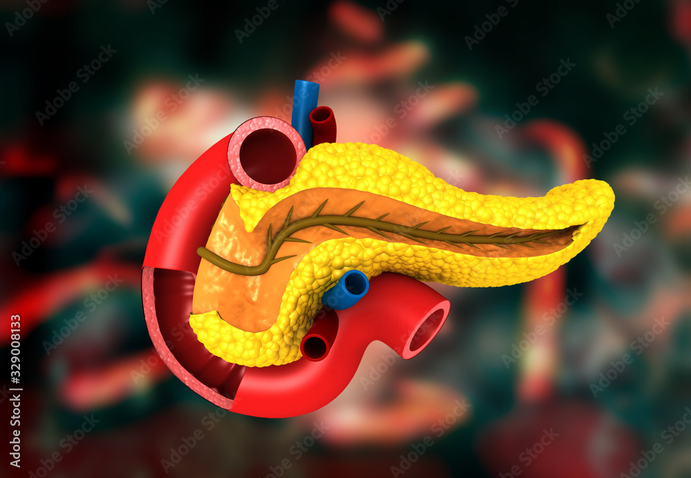 Human pancreas anatomy on science background. 3d illustration. Stock ...