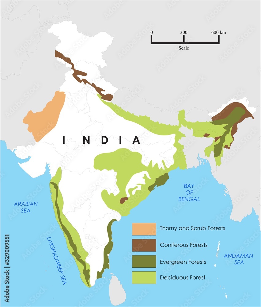 forest map of India Stock Illustration | Adobe Stock