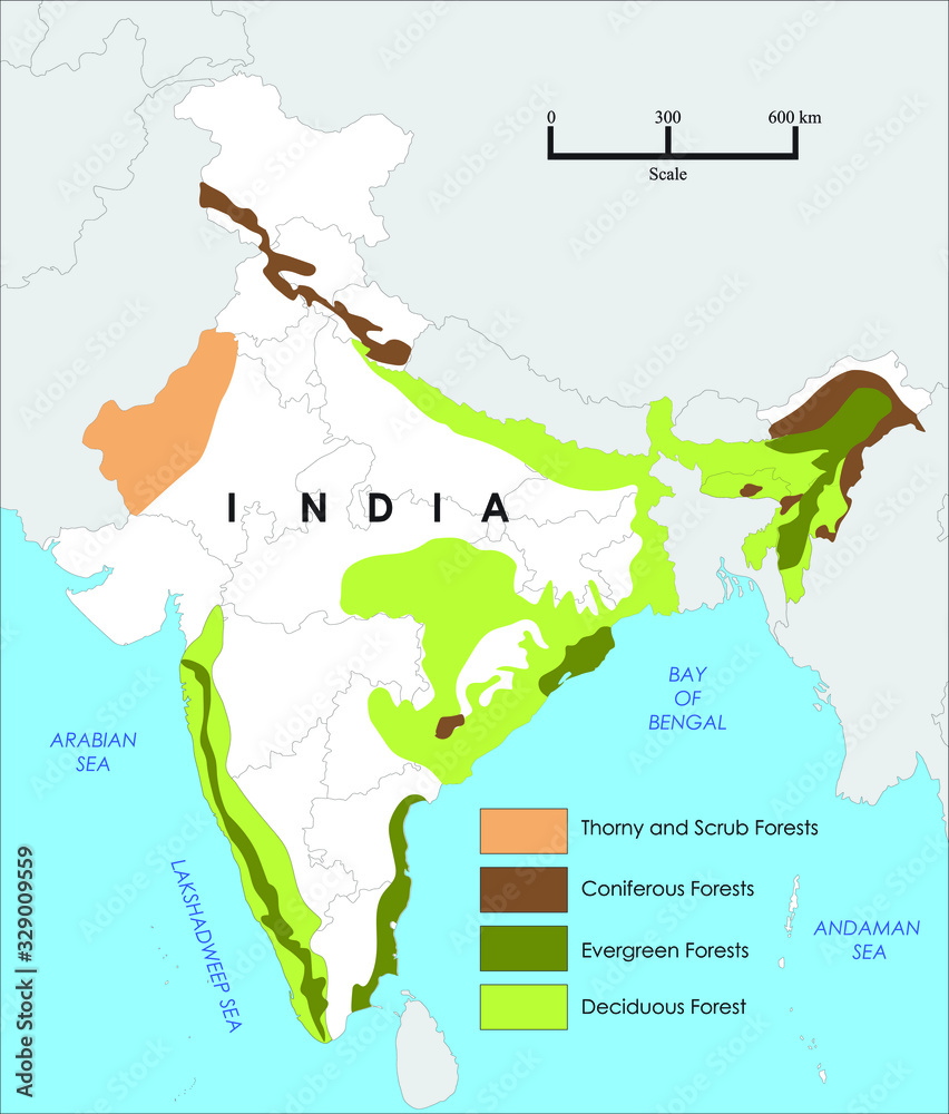 Forest map of India. India map vector illustration Stock Vector | Adobe ...