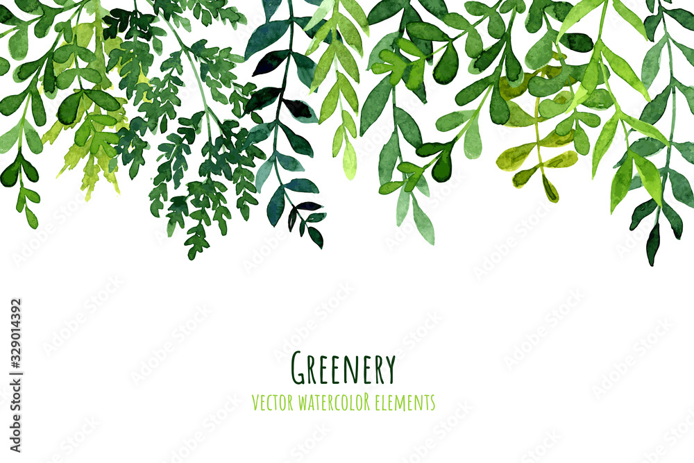Greenery drop header, watercolor botanical background, leaves and ...