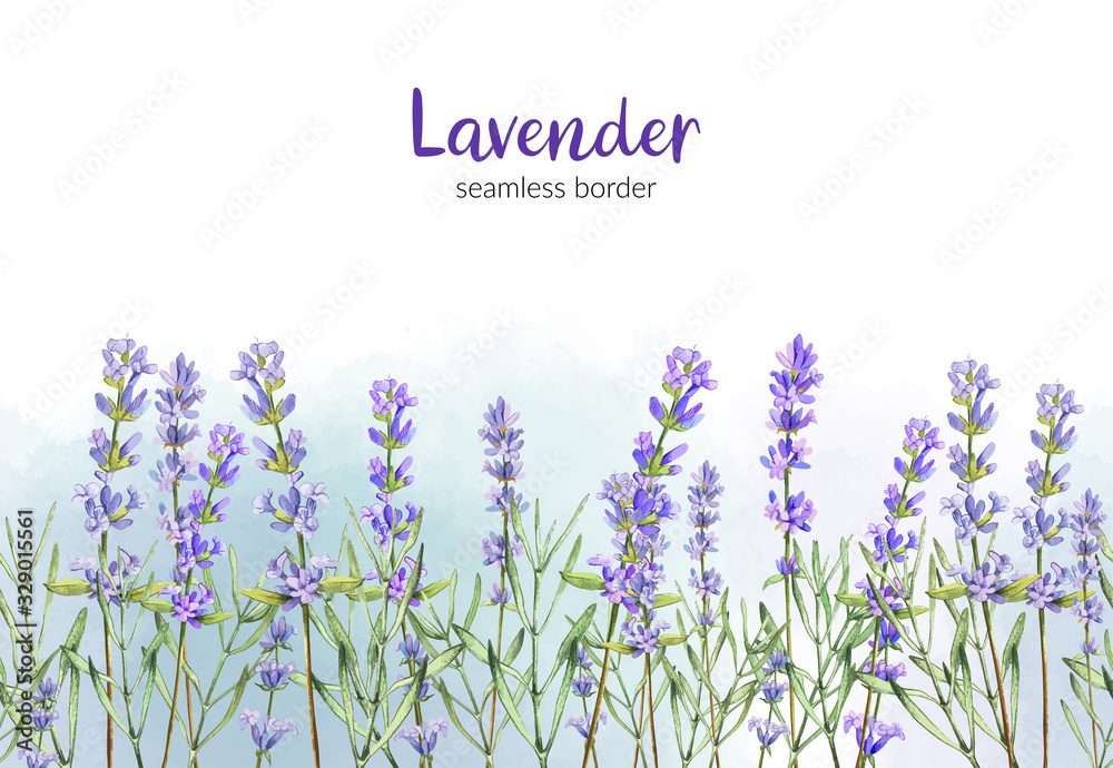 Seamless lavender border, watercolor painting, hand drawn Stock Vector ...