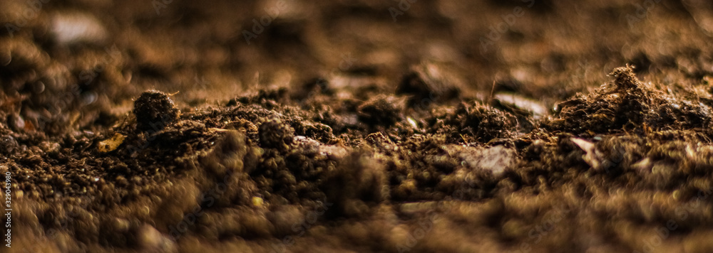 Earth ground texture as background, nature and environment Stock Photo ...