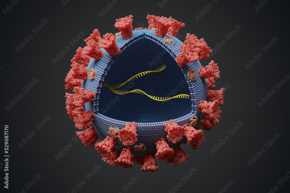 Virus with RNA molecule inside. Infection concept. 3D rendered ...