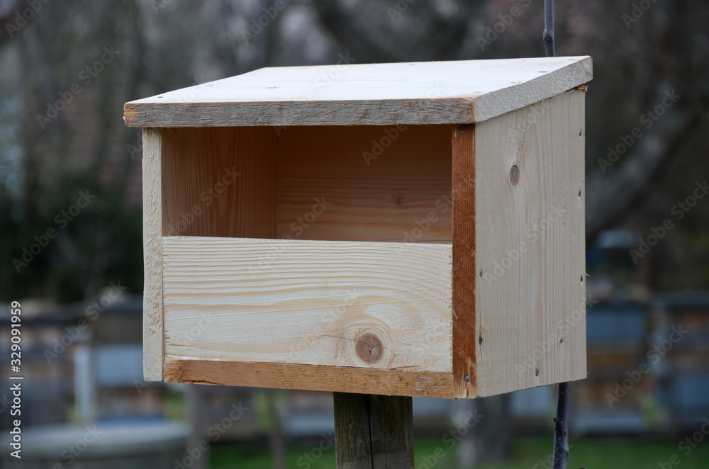 hands attach the box for black scythe Turdus merula with an opening of ...