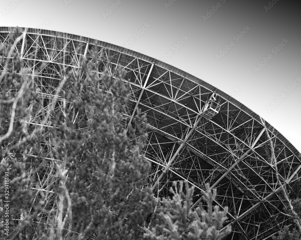 Alien spaceship is landing the forest background Stock Photo | Adobe Stock