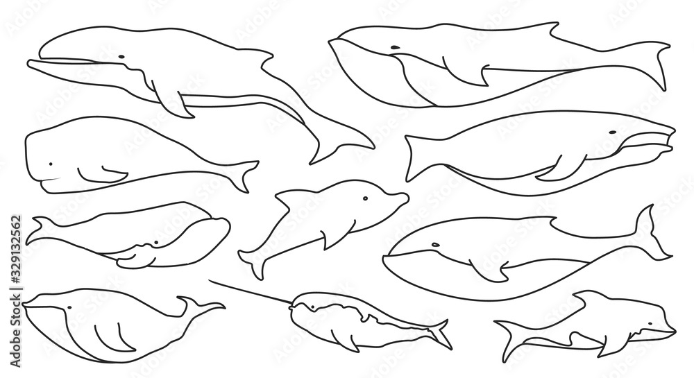 Sea whale vector outline set icon.Vector illustration marine animal of ...