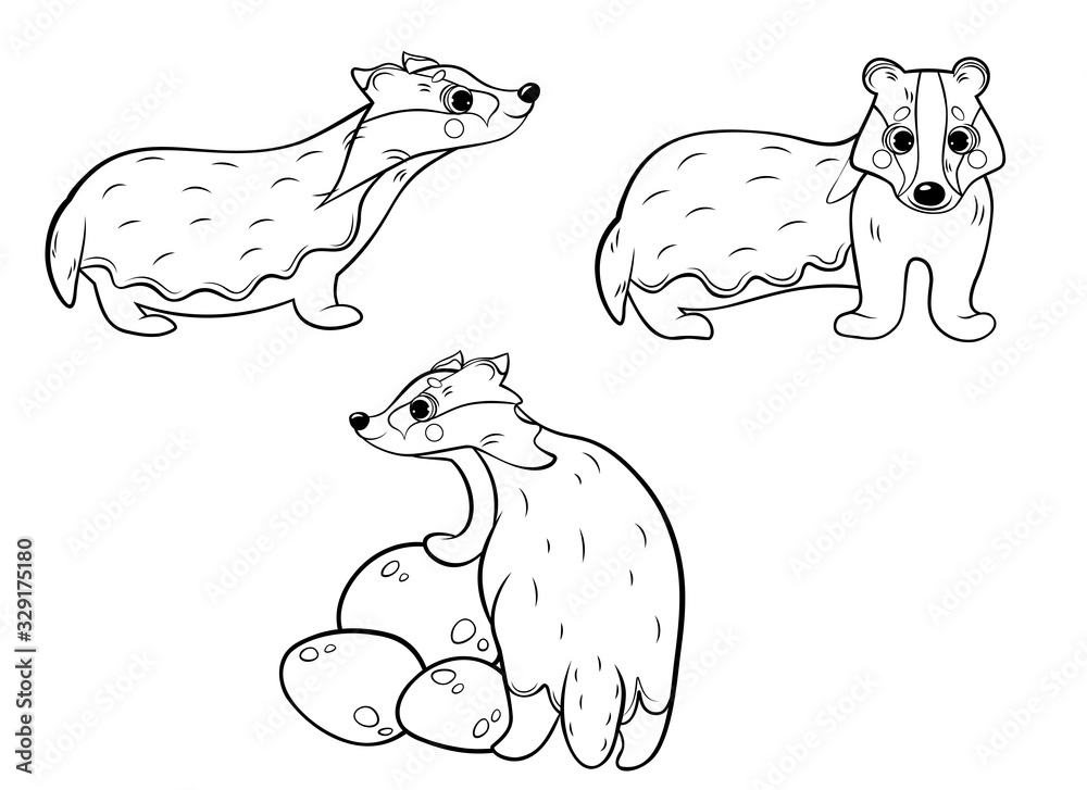 Coloring page outline of cute cartoon wild badger or brock. Badger in ...