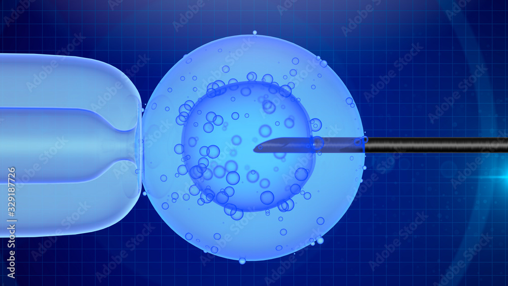 Cell injection, needle injecting biologic material into cell, DNA ...