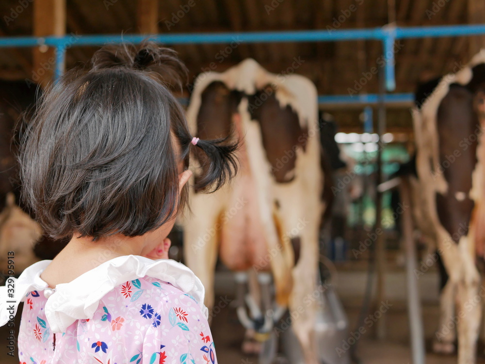 Little baby girl visiting an organic dairy farm - educational tour for ...