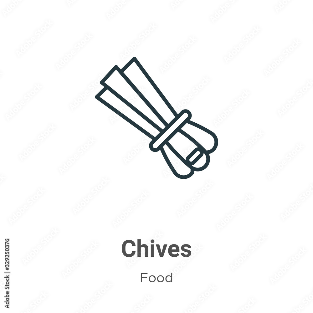 Chives outline vector icon. Thin line black chives icon, flat vector simple element illustration ...