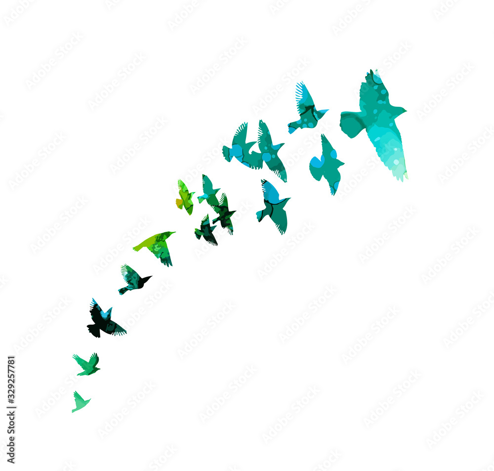 Multi-colored birds. A flock of flying rainbow birds. A lot of soaring ...