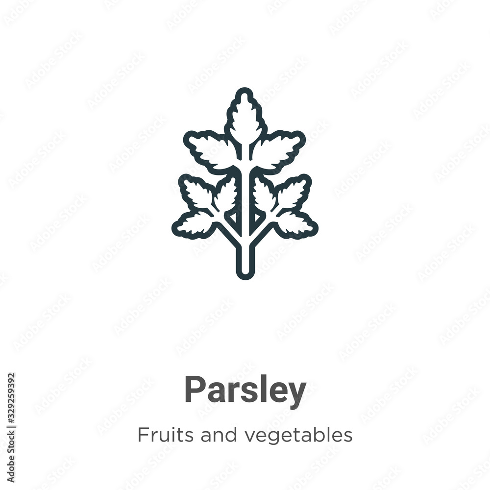 Parsley outline vector icon. Thin line black parsley icon, flat vector simple element ...