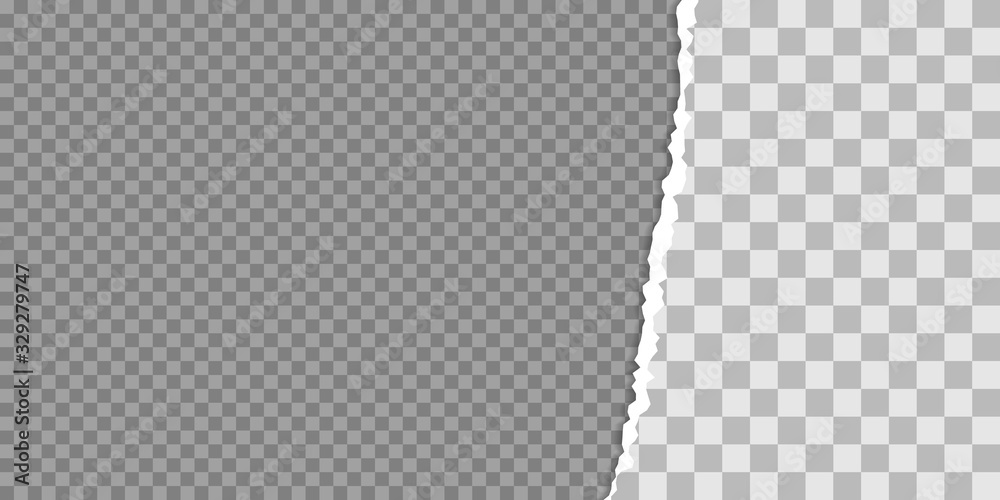 Torn paper edge vector illustration. Teared, ripped photo, sheet or ...