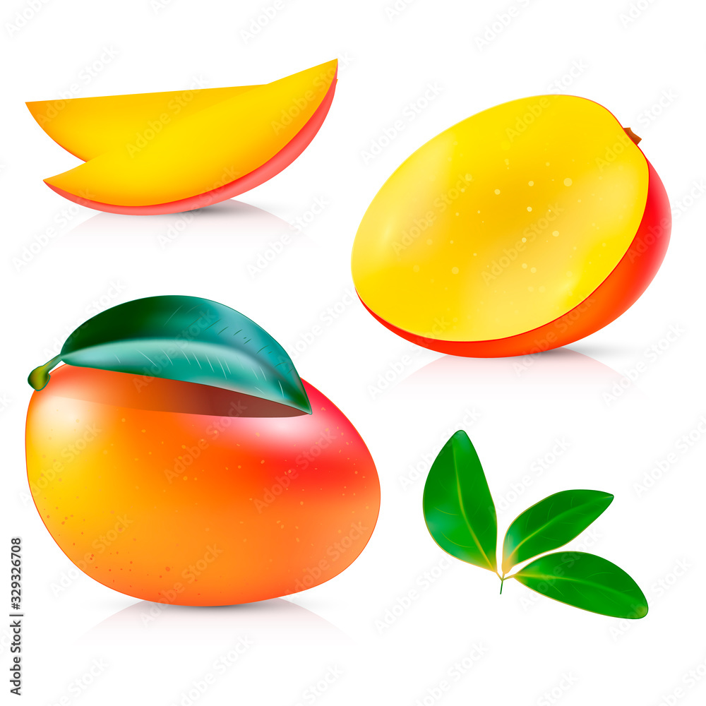 Vector mango set illustration. 3d Realistic mango set. Vector mango set ...