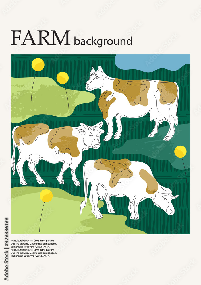 Cows are drawn in one line. Sample brochure. Agricultural background ...