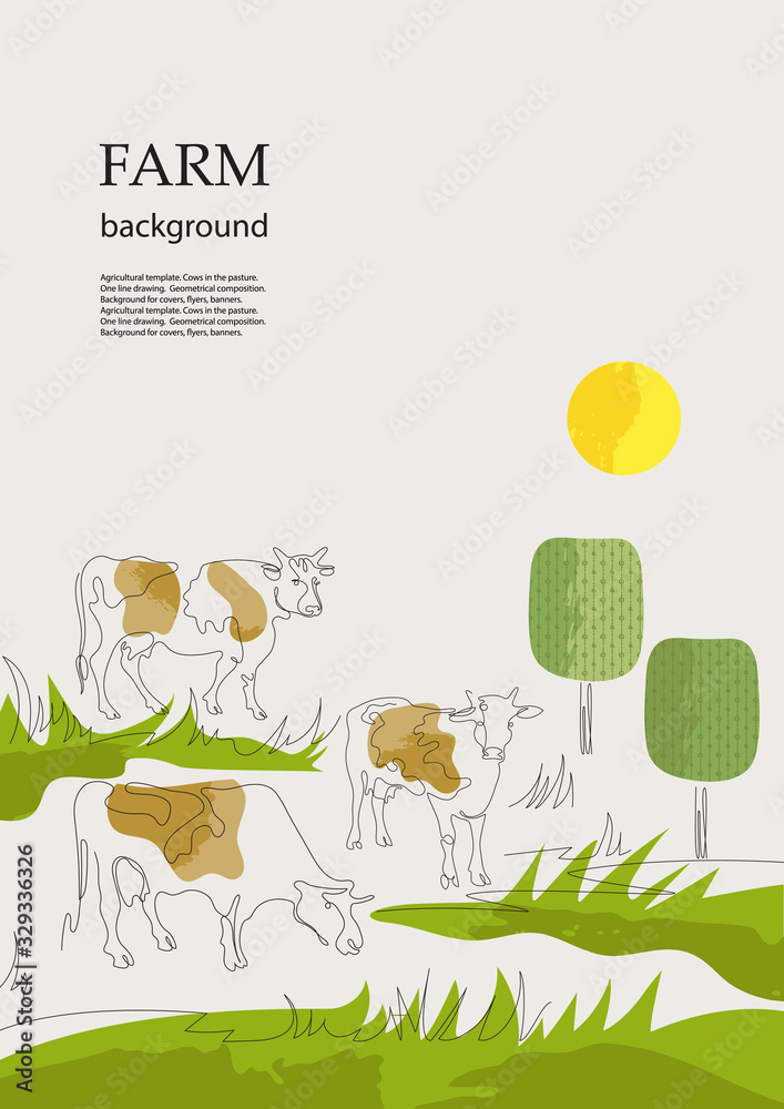 Cows are drawn in one line. Sample brochure. Agricultural background ...