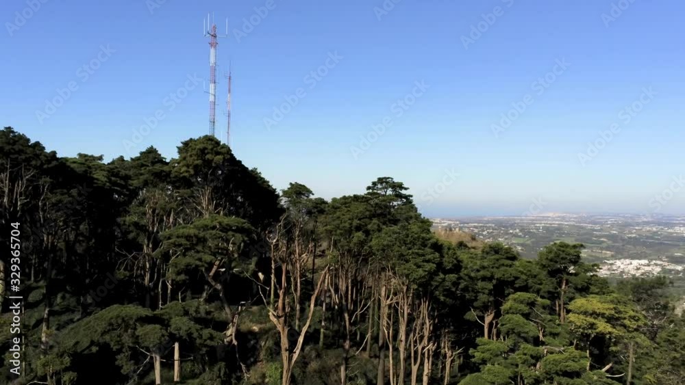 The forested grounds of Parque da Pena ,that surround the beautiful ...