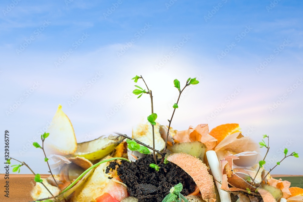 Organic waste . Compost Environment Symbol . Food waste isolated ...
