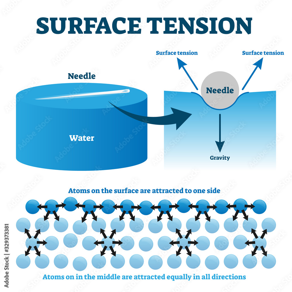 Surface tension explanation vector illustration diagram Stock Vector ...