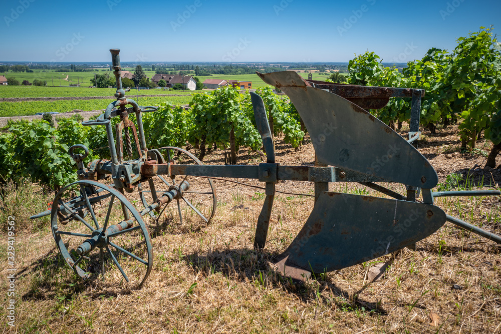 vieil outil de viticulture Stock Photo | Adobe Stock