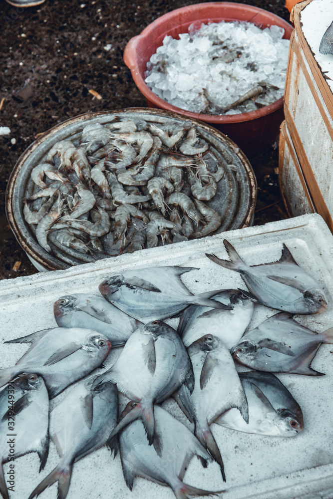 The famous Sassoon Docks Fish Market in Mumbai, India. Fresh fish on ...