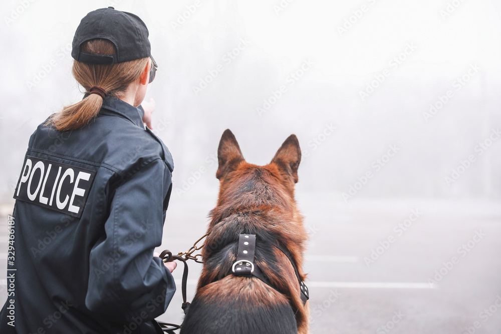 Female police officer with dog patrolling city street Stock Photo ...