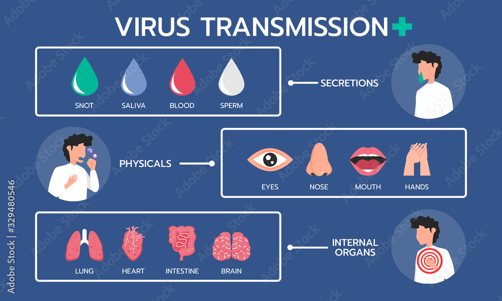 Infographic illustration about Virus transmission, Infection. Flat ...