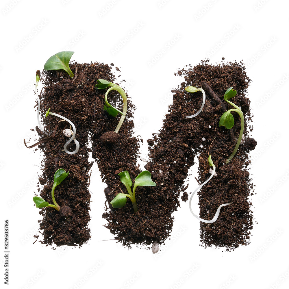 Letter of the English alphabet isolated on white background. The ...