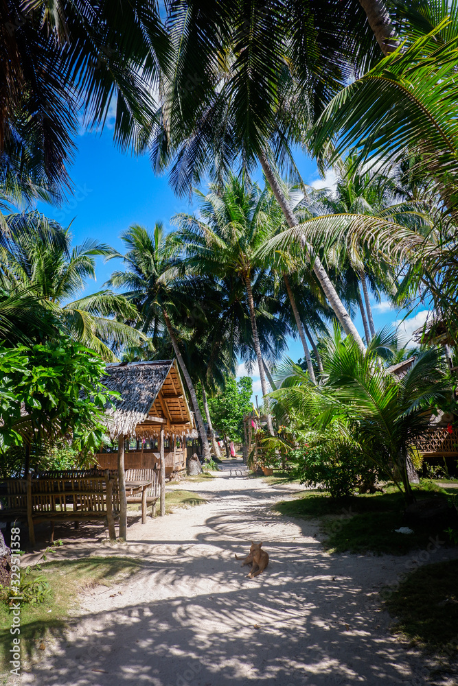 Bamboo hut and palm trees on the beach. Coron island, Philippines Stock ...