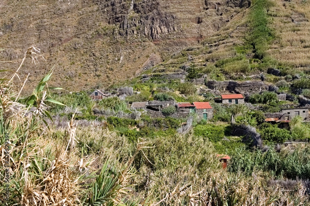 Rural village with huts and shacks in the meadow and wheat fields ...