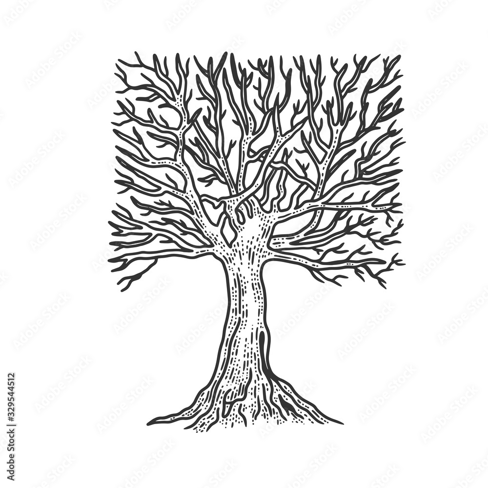square crown tree sketch engraving vector illustration. T-shirt apparel ...