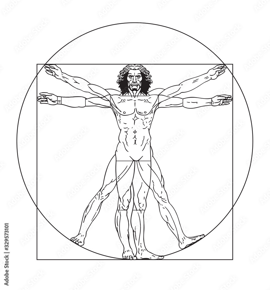 Vitruvian Man Stock Illustration Adobe Stock