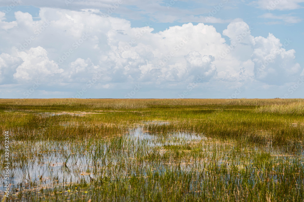 Exploring Everglades National Park by iconic airboat tour with scenic ...