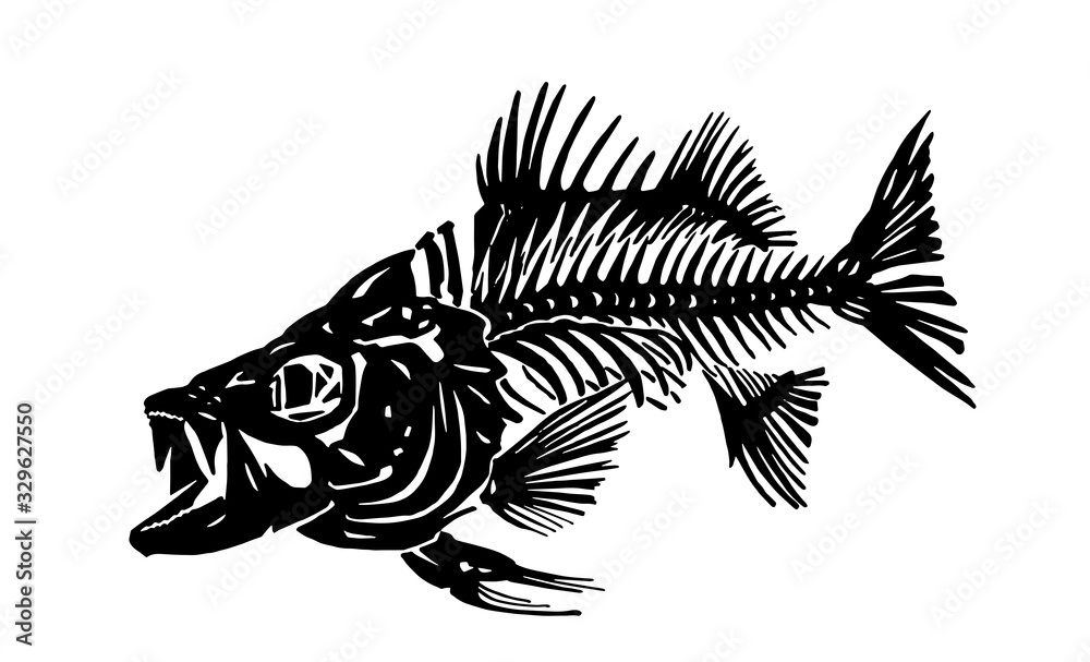 Graphical fish skeleton isolated on white background, vector ...