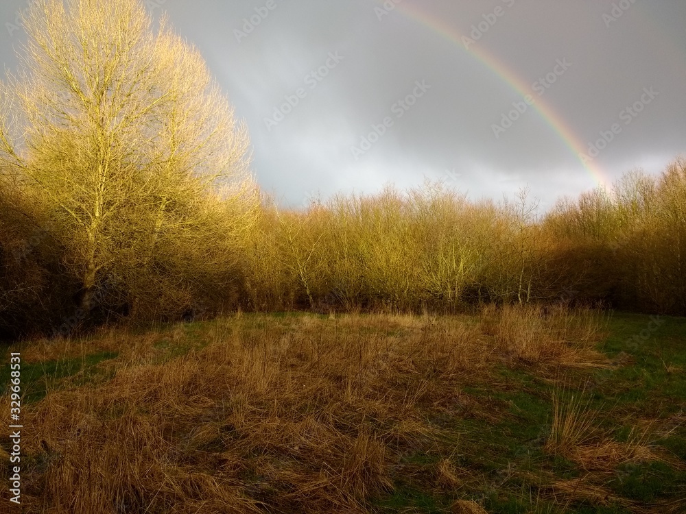 Rainbow on beautiful Spring natural outdoor landscape of stunning ...