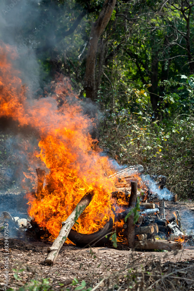 Cremate death people on fire flame burning, red and orange flame ...