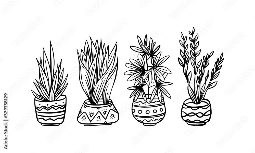 set of Potted plant hand drawn vector illustration, plant isolated ...