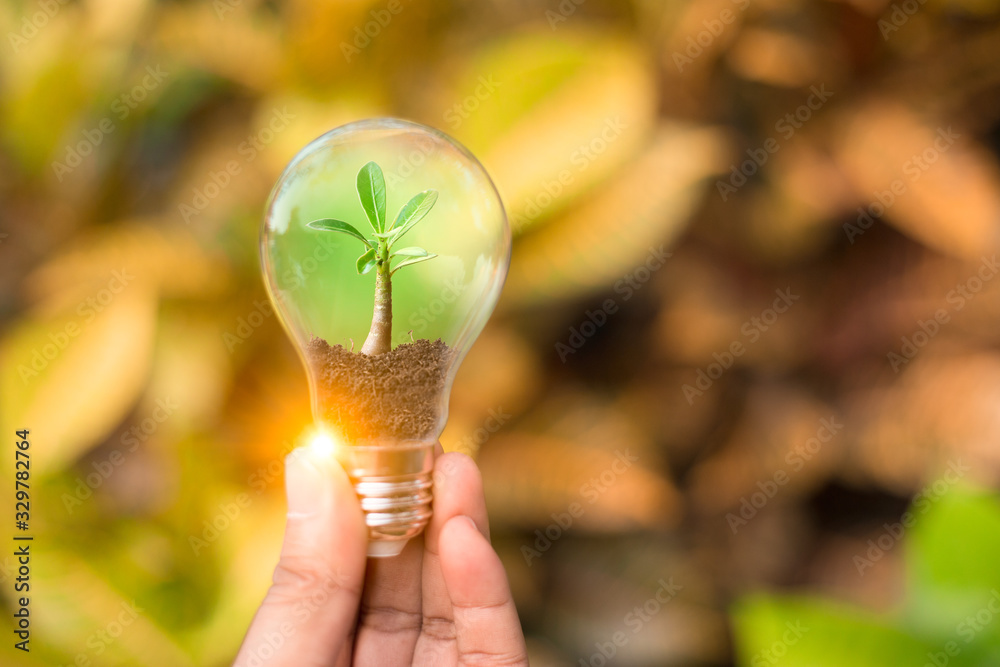 Hand holding a light bulb with growth of tree inside. Creative ideas ...