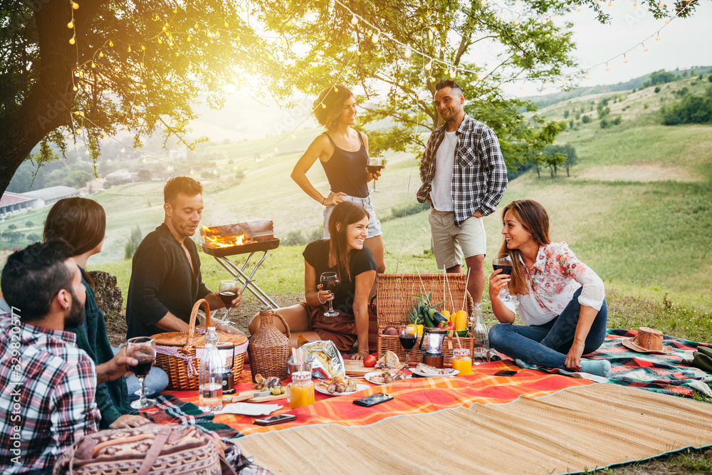 Picnic in the countryside. Group of young friends, at sunset on spring ...