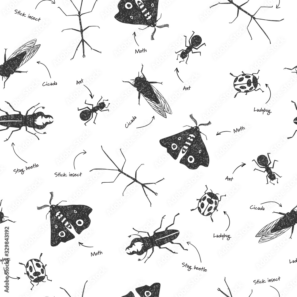 Insects hand drawn vector seamless pattern on white background. Ladybug ...