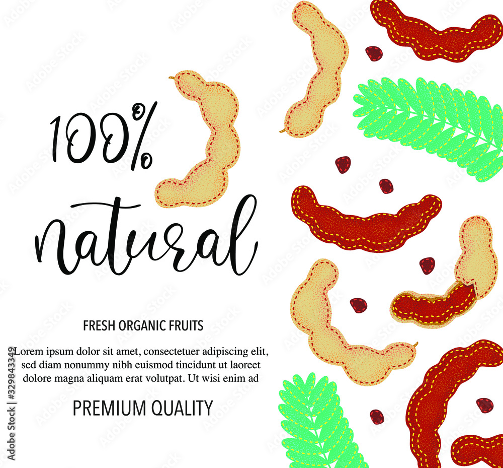 Vector background with tamarind, whole and pieces. Vector stock ...