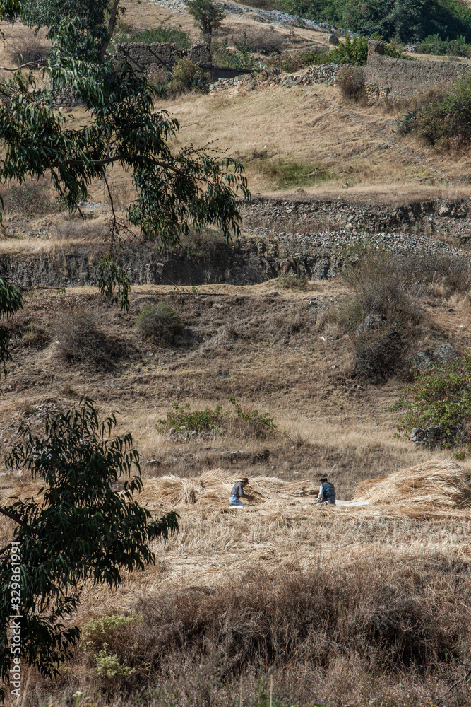 Chavin Andes Peru. Pre-Columbian civilization. Chavín de Huantar. Stock ...
