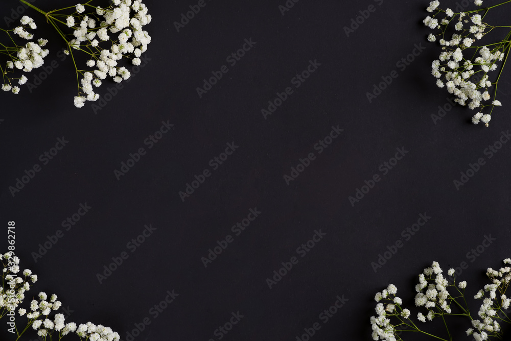 Fresh flower twigs of Gypsophila plant as a corner greeting border on a ...