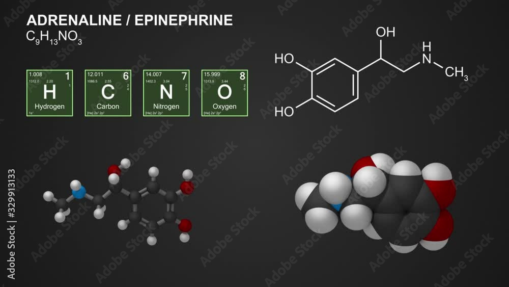 Animated models of adrenaline (epinephrine) molecule, seamless loop, 4K ...